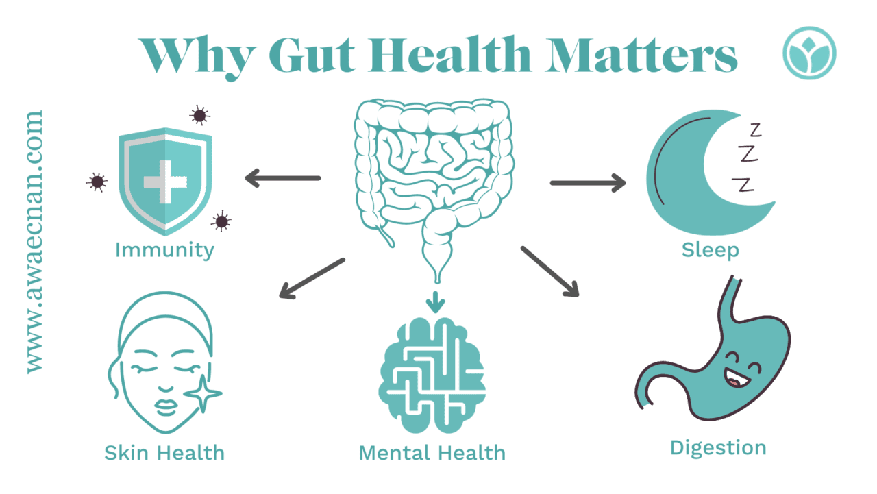 Gut Health: The Complete Guide to a Healthy Gut → Awaecnan